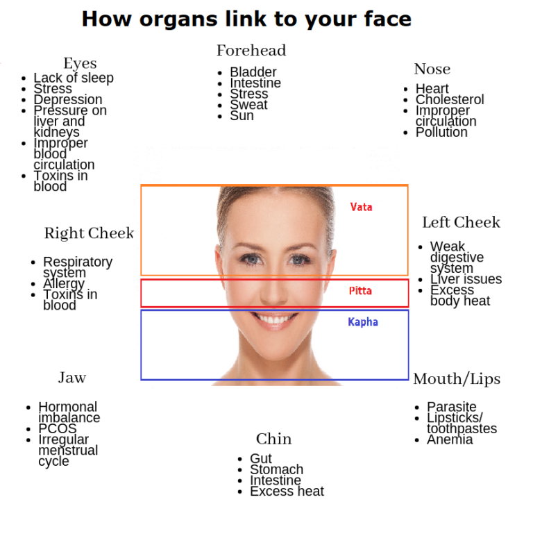 The Transformative Power of Facial Massage and Marma therapy - Yoga and ...